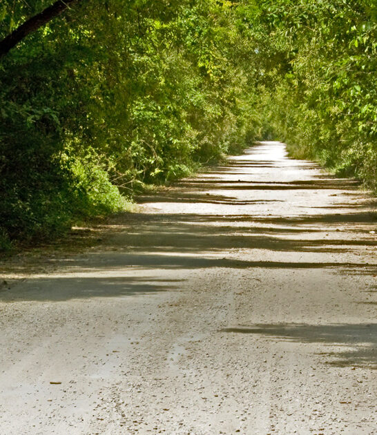 beautiful florida keep secret ftr