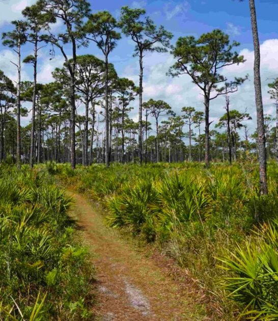 beautiful park escape florida ftr