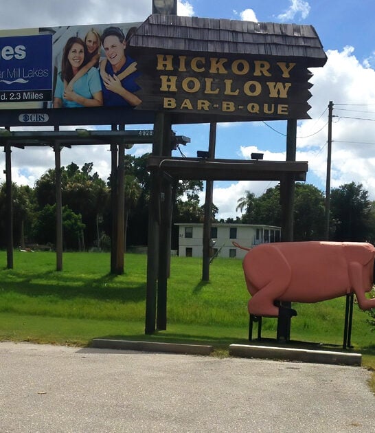 best baby florida bbq ftr