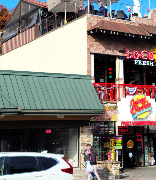 best chicken fajita tennessee ftr