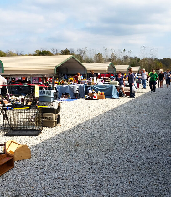 best flea shop missouri ftr