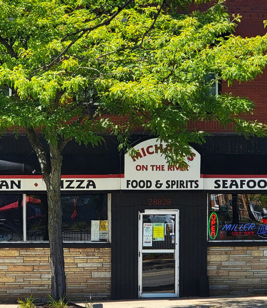 best french onion michigan ftr