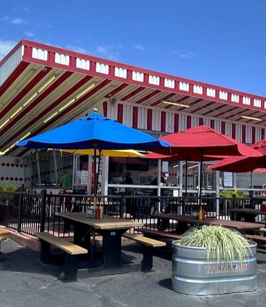 best fries virginia burger ftr