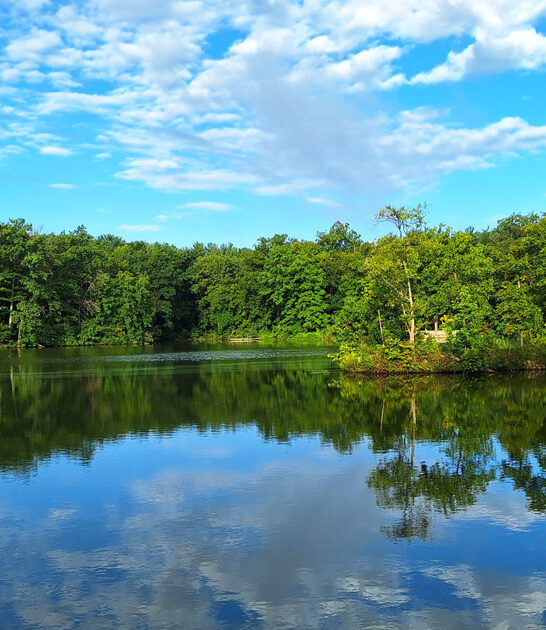 best relaxing park illinois ftr