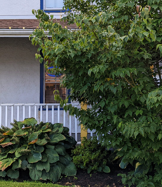 best salads delaware restaurant ftr