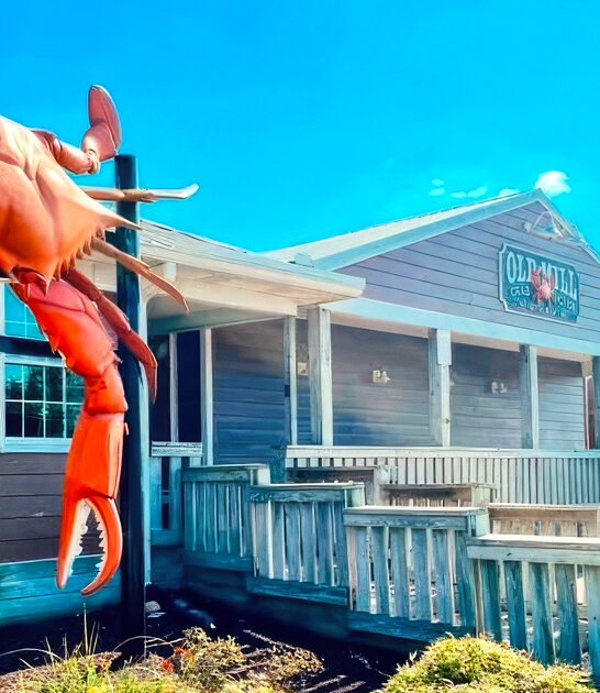 best snow crab delaware ftr