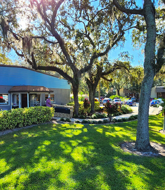biggest bargains florida shop ftr