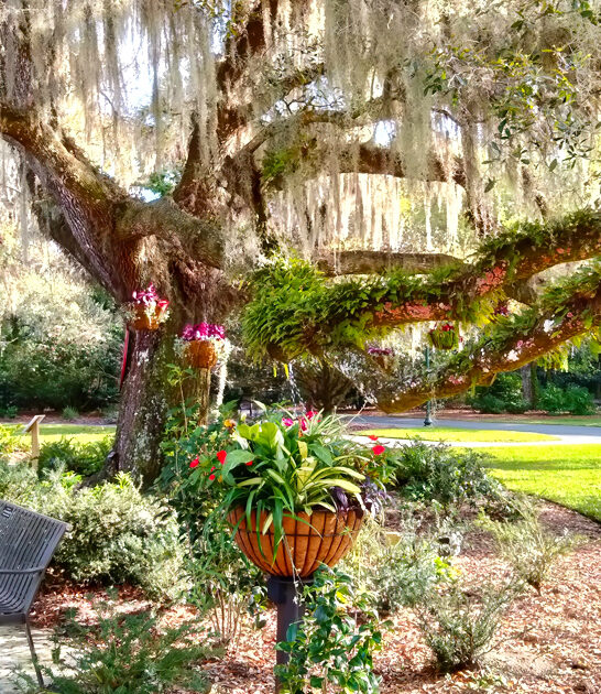 botanical enchanting garden florida ftr