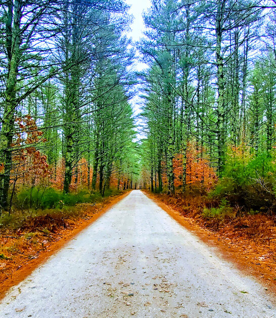 breathtaking amazing park connecticut ftr