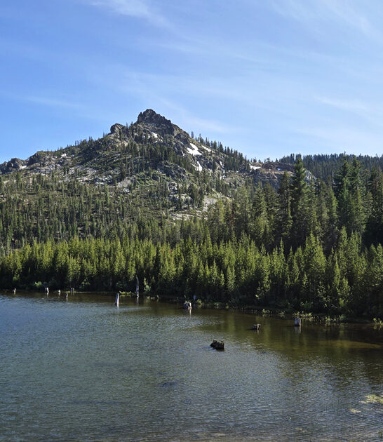 breathtaking park california postcard FTR