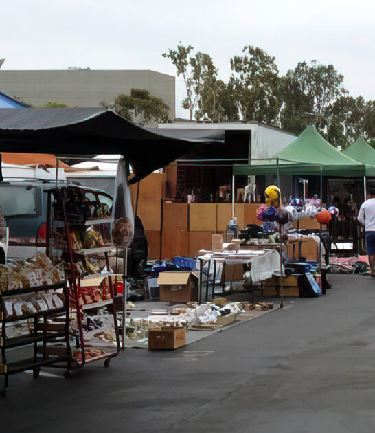 california amazing bargain items ftr