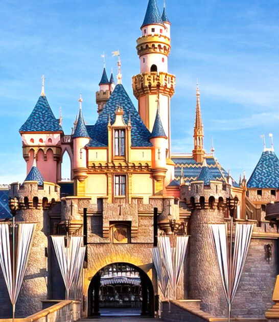 california castle family fun ftr
