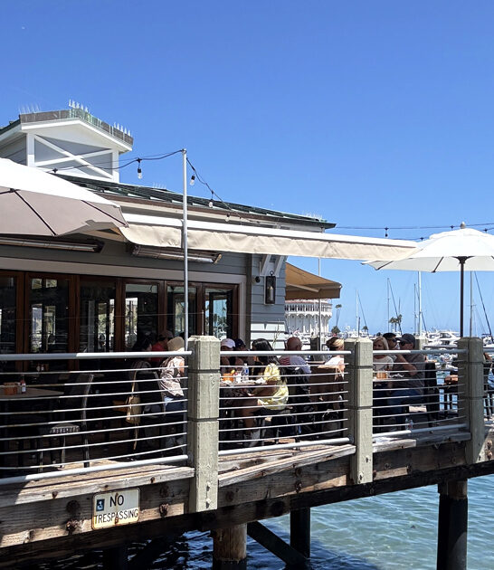 california chowder seafood shack ftr