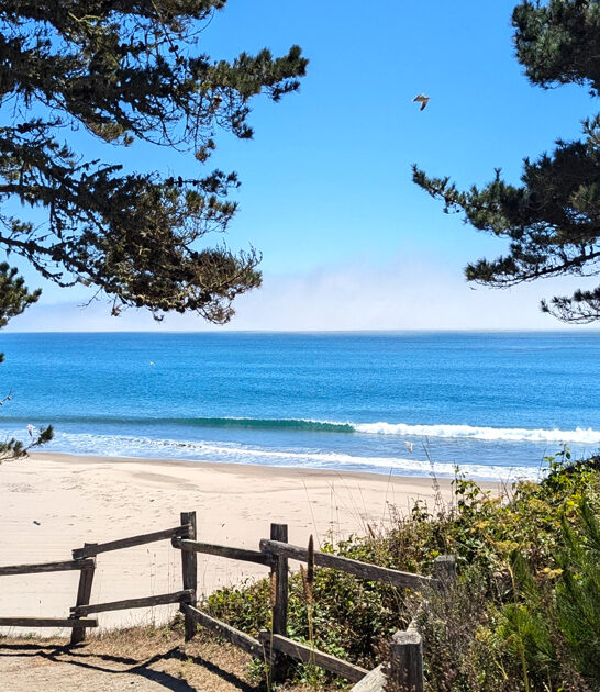 california dreamy park escape ftr