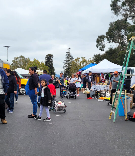 california flea market enormous ftr