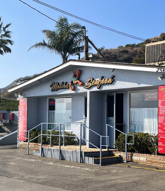 california mahi bite treasure ftr