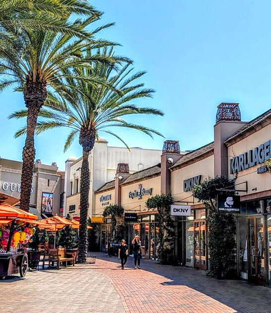 california mall bargain hunting ftr