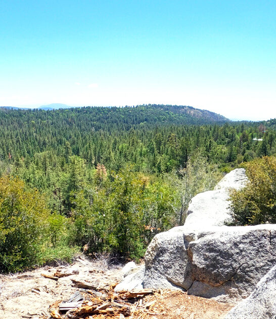 california perfect overlook postcard ftr