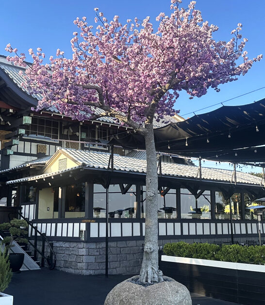 california pineapple fried rice ftr