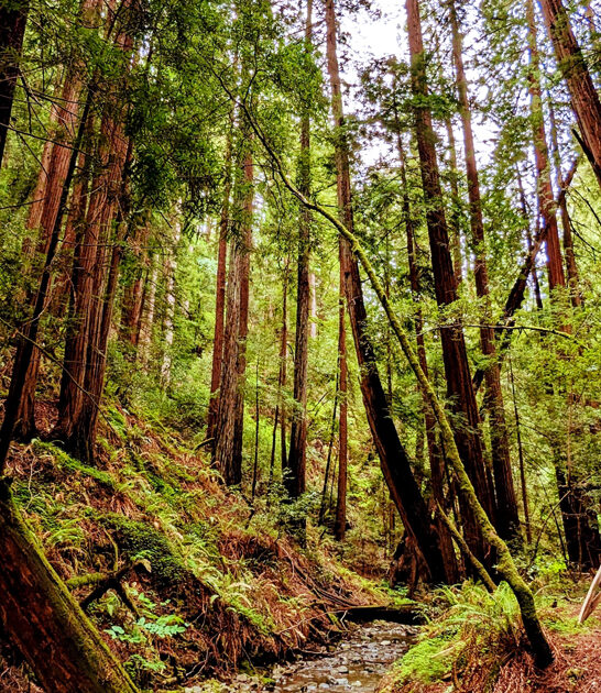 california state park breathtaking ftr
