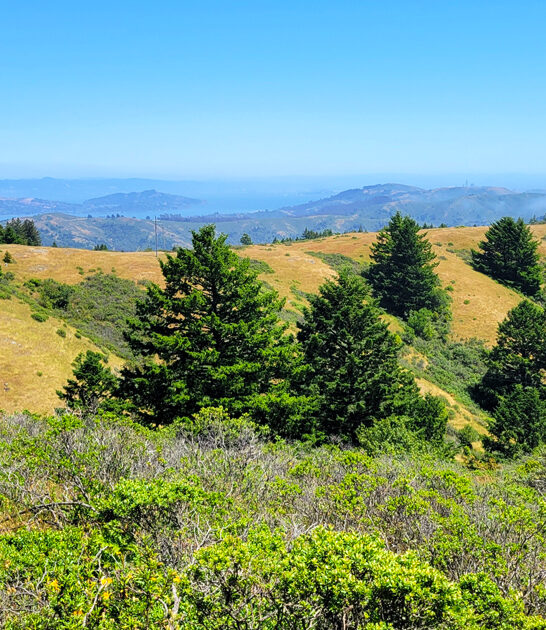 california state park getaway ftr