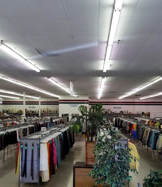 california thrift shop rare ftr