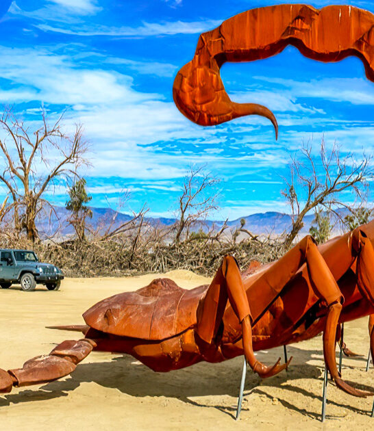 california weird roadside sight ftr