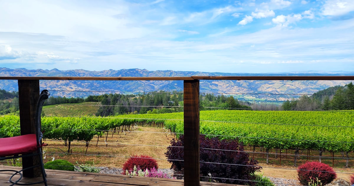 11 Iconic Wineries In California That Are Absolutely Worth The Drive ...