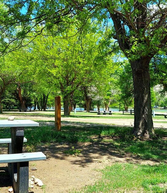 canvas park kansas dreamy ftr