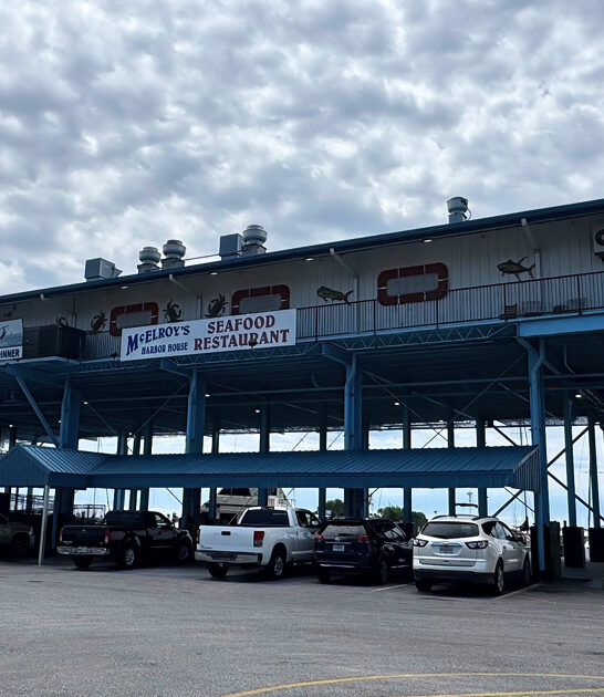 casual seafood mississippi restaurants ftr