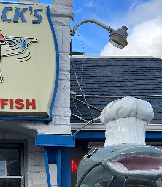 catfish strips kansas ftr