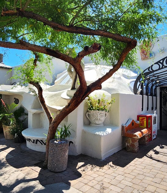 charming arizona taco haven ftr