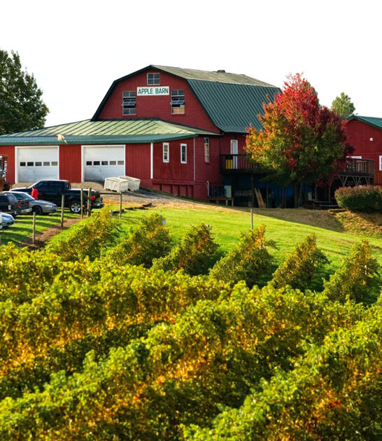 charming orchards virginia great ftr