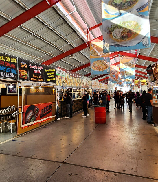 cheap treasure finds nevada ftr