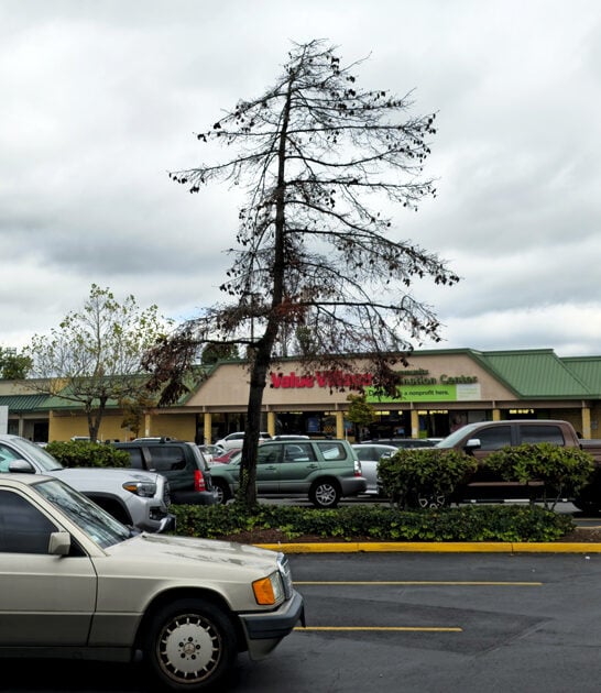 cheapest thrift shop washington ftr