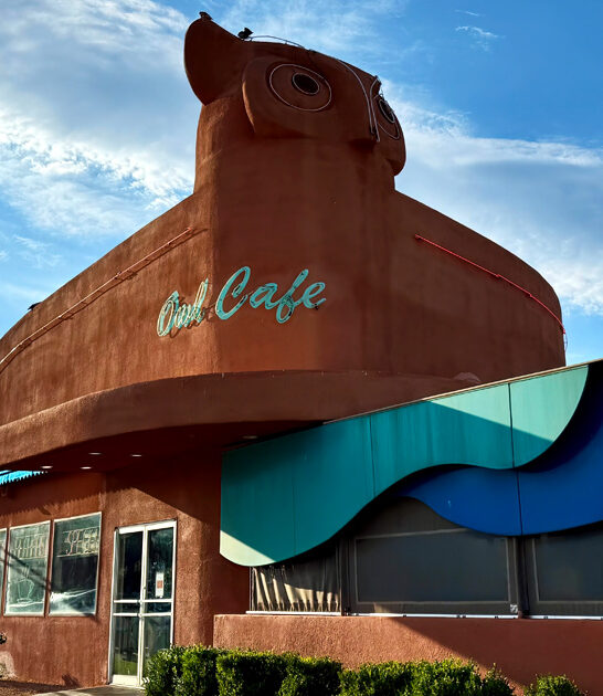 chicken new mexico steak ftr