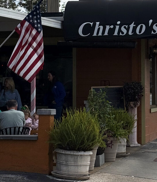 chicken soup florida lemon ftr