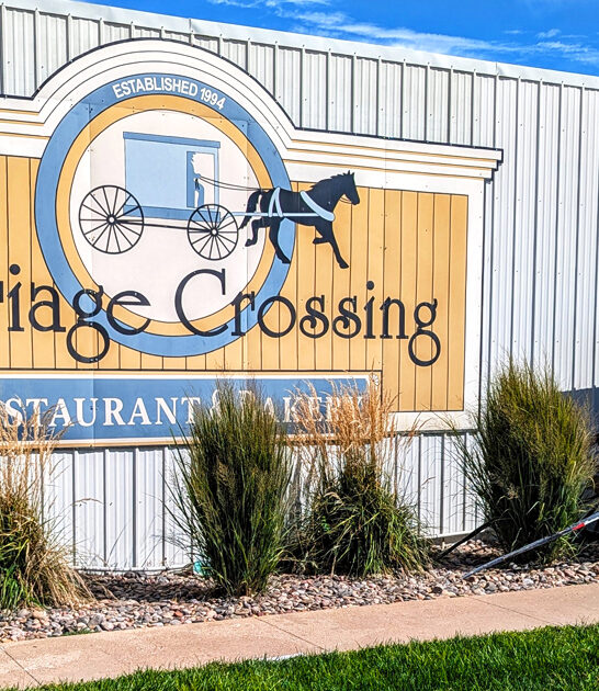 chicken steak kansas best ftr