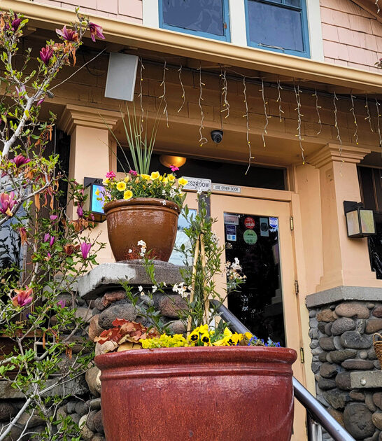 chicken waffles cafe nevada FTR