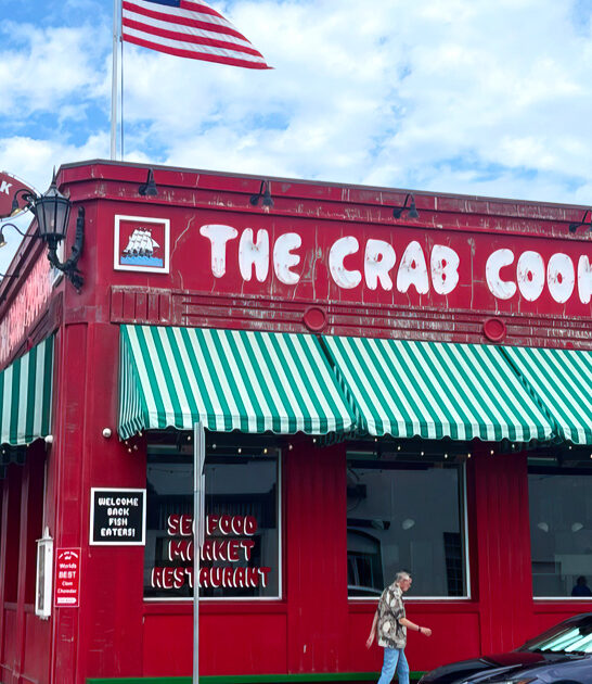 clam chowder succulent california ftr