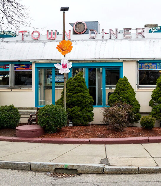 classic diner succulent massachusetts ftr