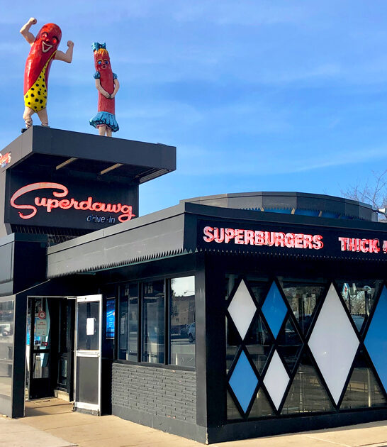 classic illinois hot dog ftr