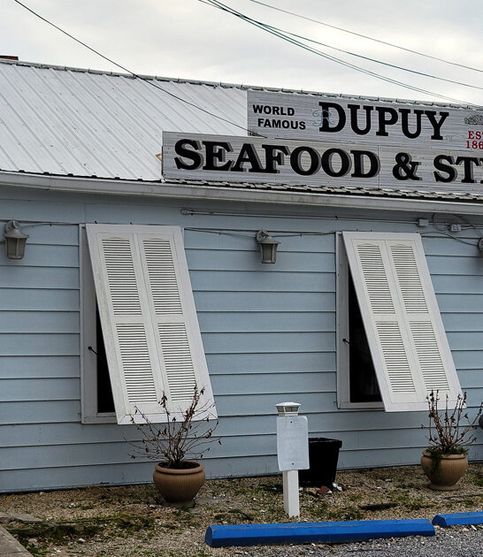 classic louisiana seafood recipes ftr