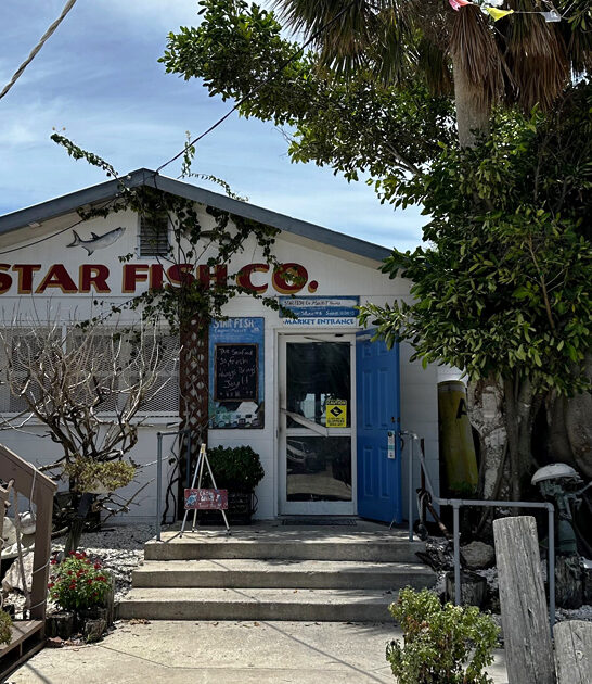 coconut shrimp dreams florida ftr