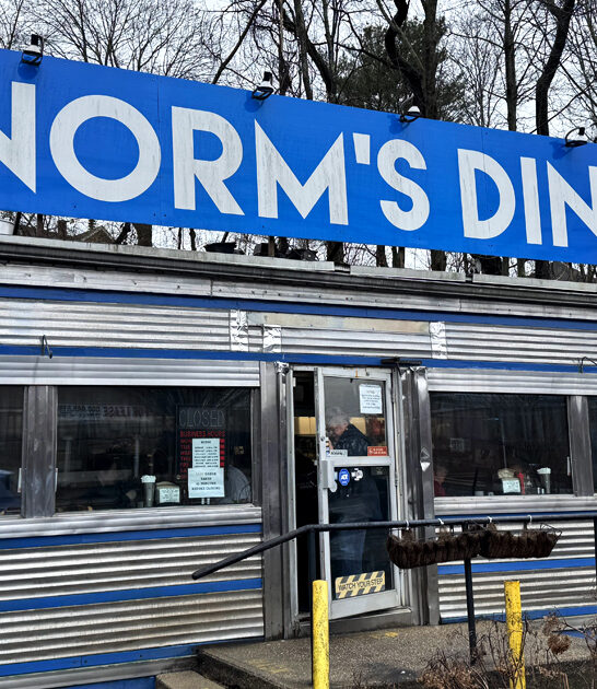 connecticut home fries diner ftr