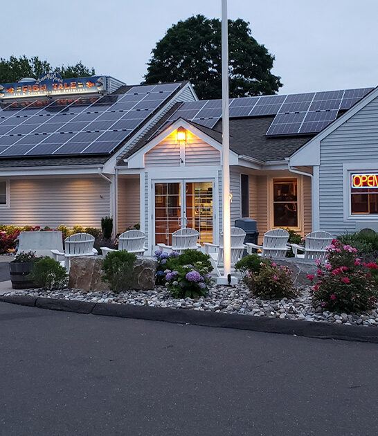 connecticut whole belly clams ftr