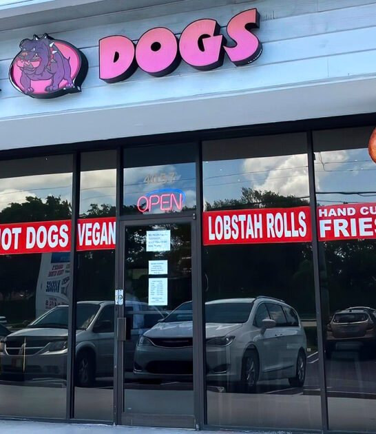 cowboy dog joint florida ftr