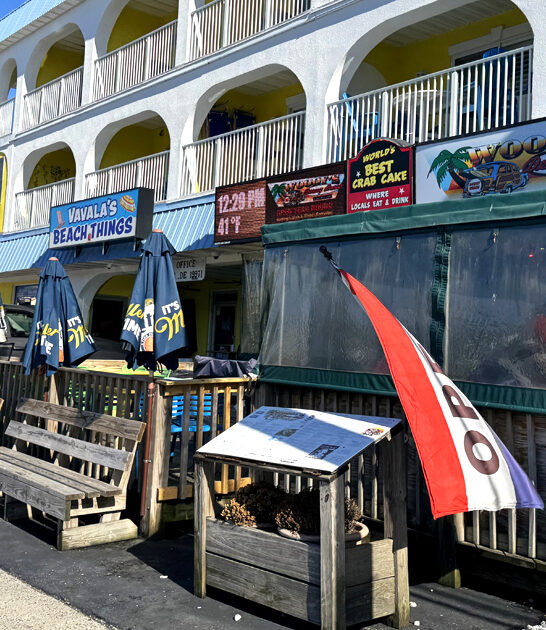 crab delaware pretzel art ftr