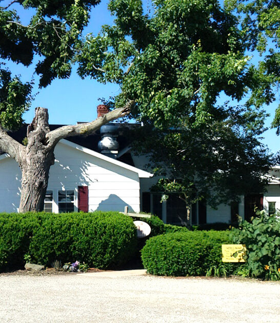 crab legs steakhouse ohio ftr
