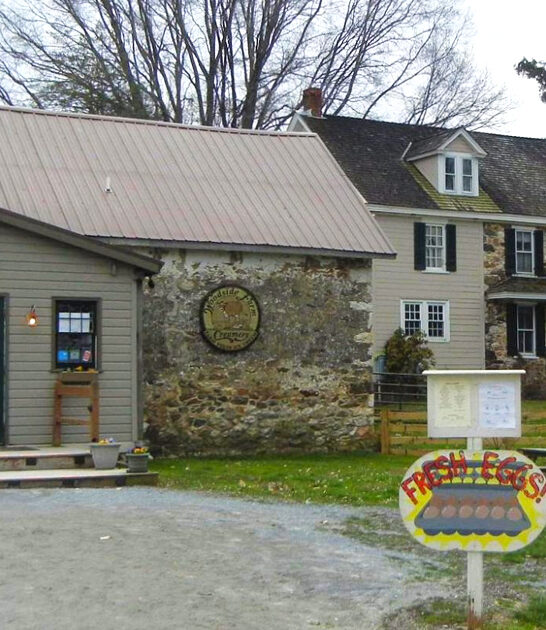 creamery delaware old school ftr